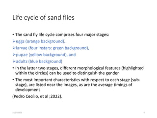 ddddddddddddddddddddddddddddddddddddATSB.pptx