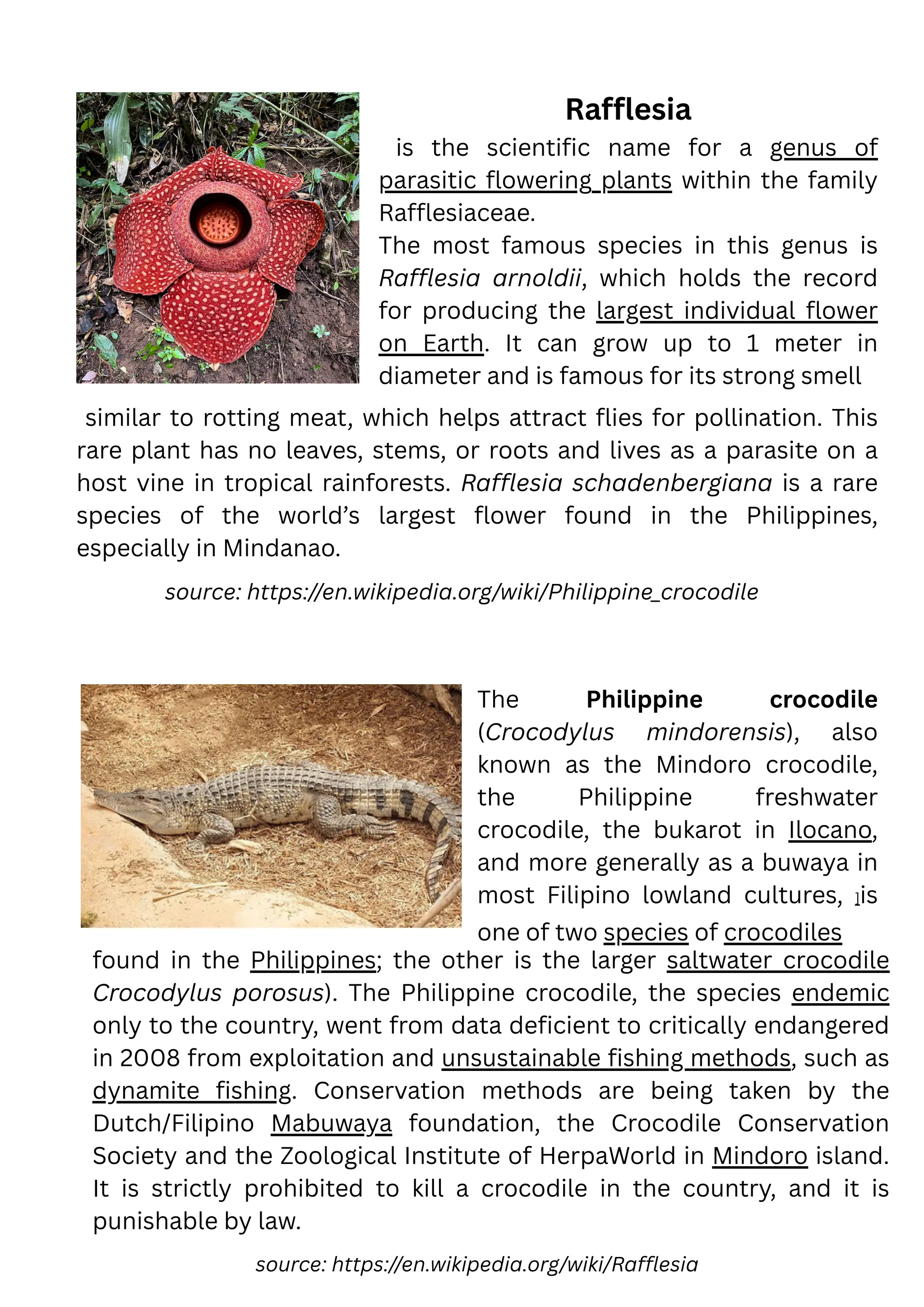 Rafflesia and Crocodylus mindorensis as endangered species | PDF