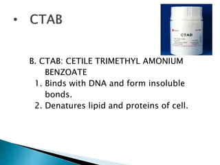 DNA EXTRACTION BY SHAISTA AND KANWAL STUDENTS OF MICROBIOLOGY QUAID E ...