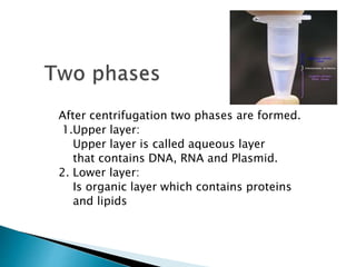 DNA Extraction by phenol-choloroform Method | PDF | Chemistry | Science