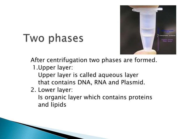 DNA Extraction by phenol-choloroform Method | PDF | Chemistry | Science
