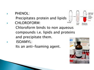 DNA Extraction by phenol-choloroform Method | PDF