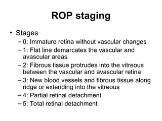 att1_romahshahadkdhdbno_september 07.ppt