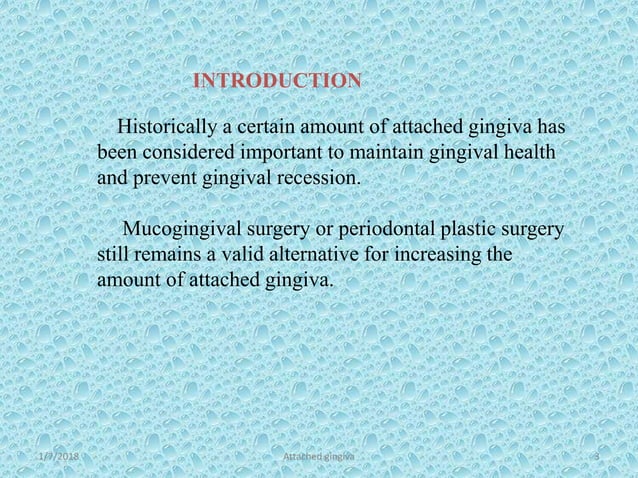 ATTACHED GINGIVA | PPTX | Dental Health | Diseases and Conditions