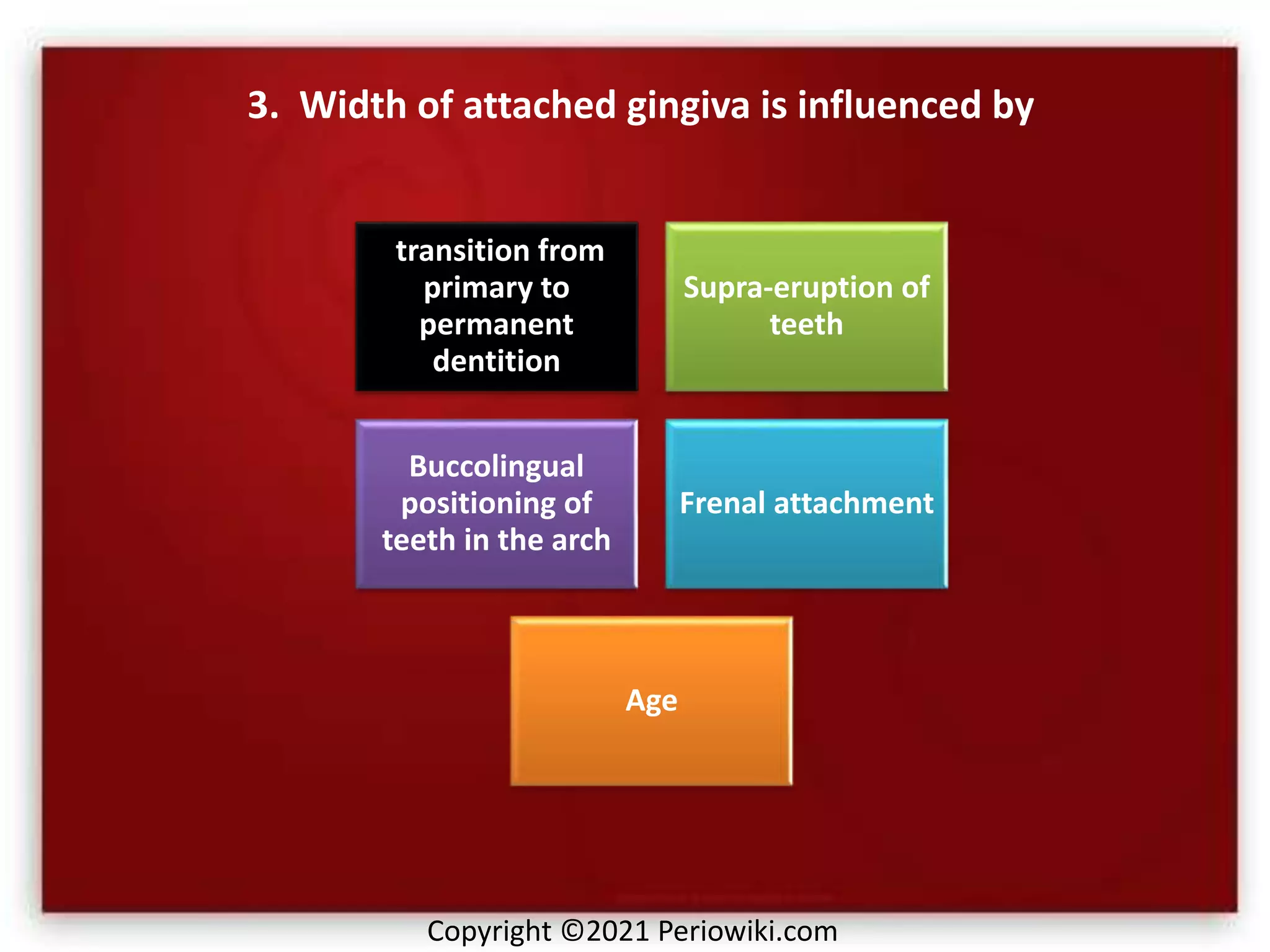 Attached gingiva and procedures for gingival augmentation | PPTX