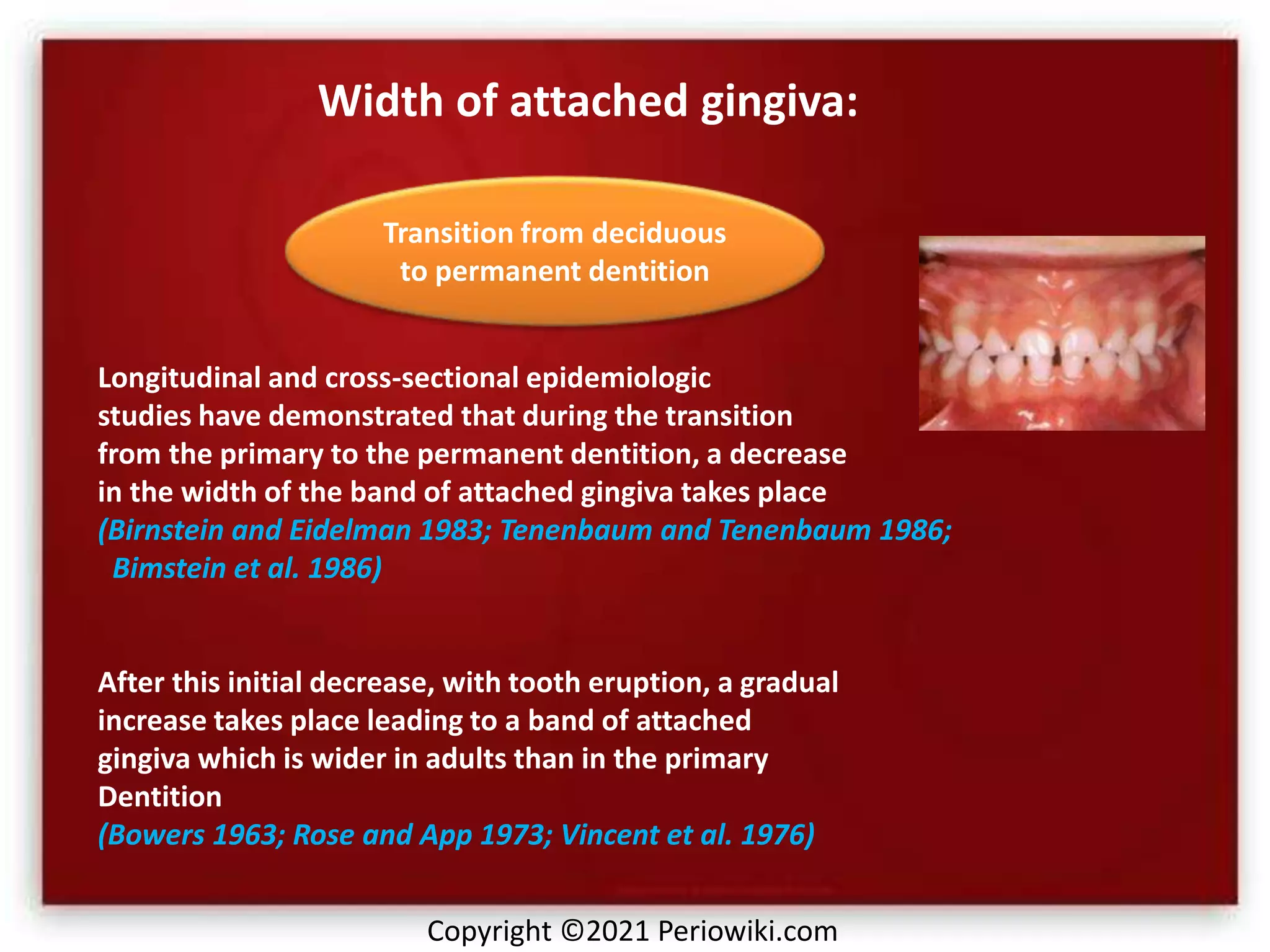 Attached gingiva and procedures for gingival augmentation | PPTX