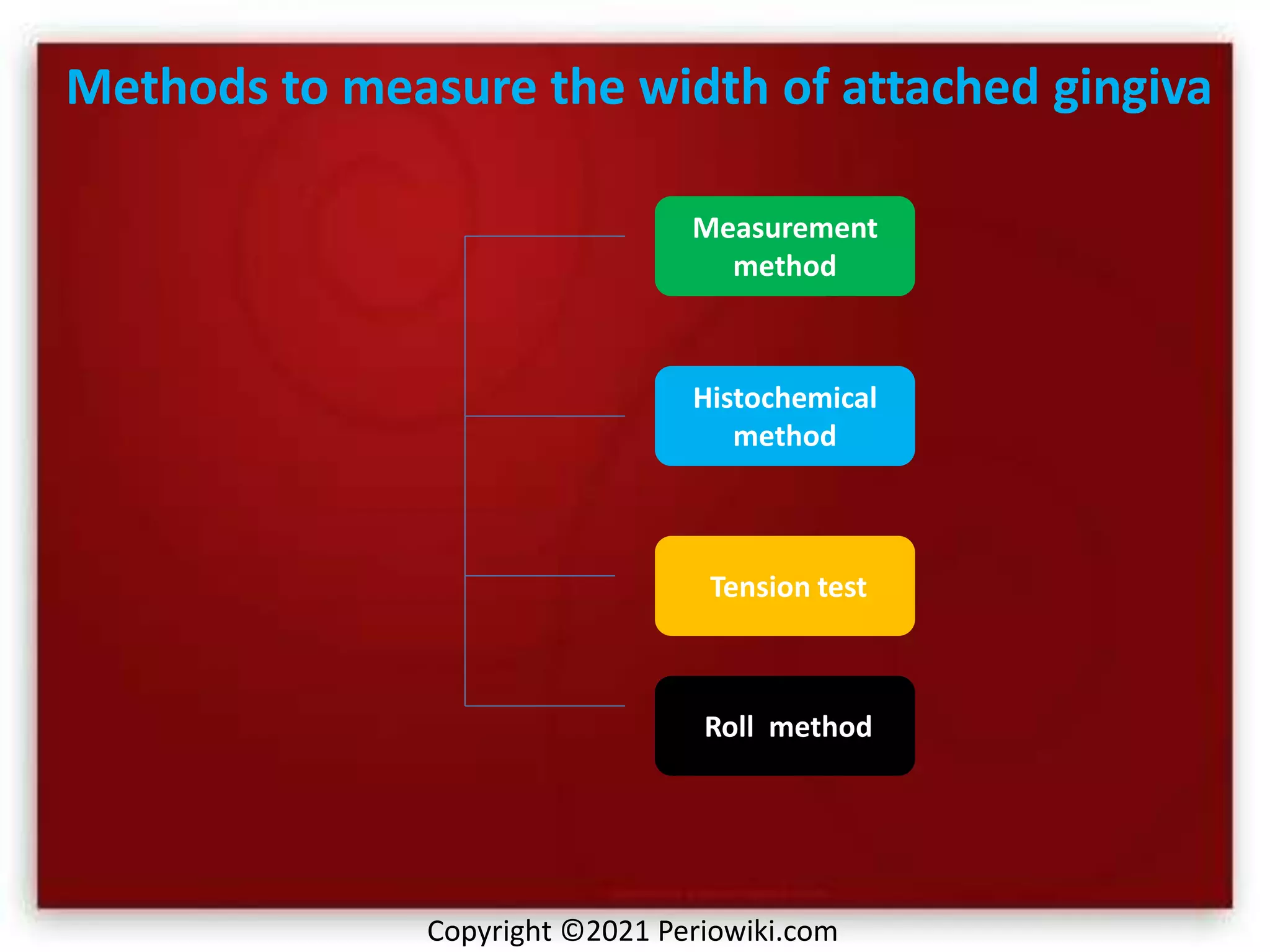 Attached gingiva and procedures for gingival augmentation | PPTX