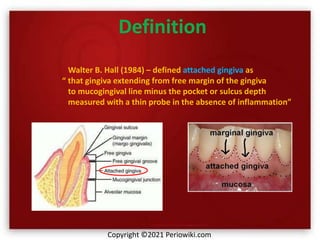 Attached gingiva and procedures for gingival augmentation | PPTX