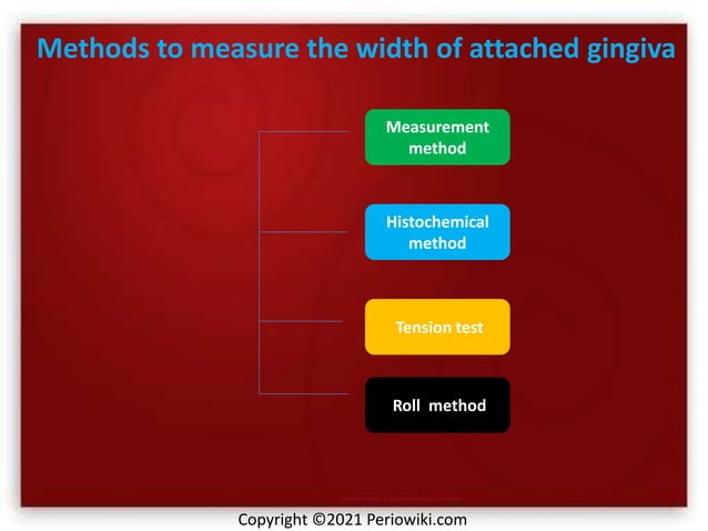 Attached gingiva and procedures for gingival augmentation | PPTX | Oral ...