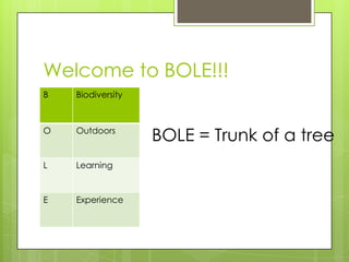 BOLE | PPTX