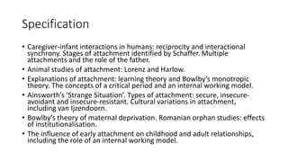 Attachment AQA A Level Psychology | PPTX