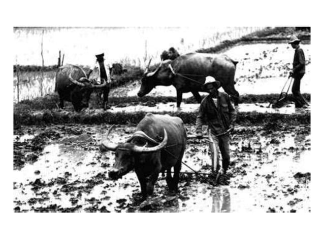 History of Science and Technology in the Philippines | PPTX