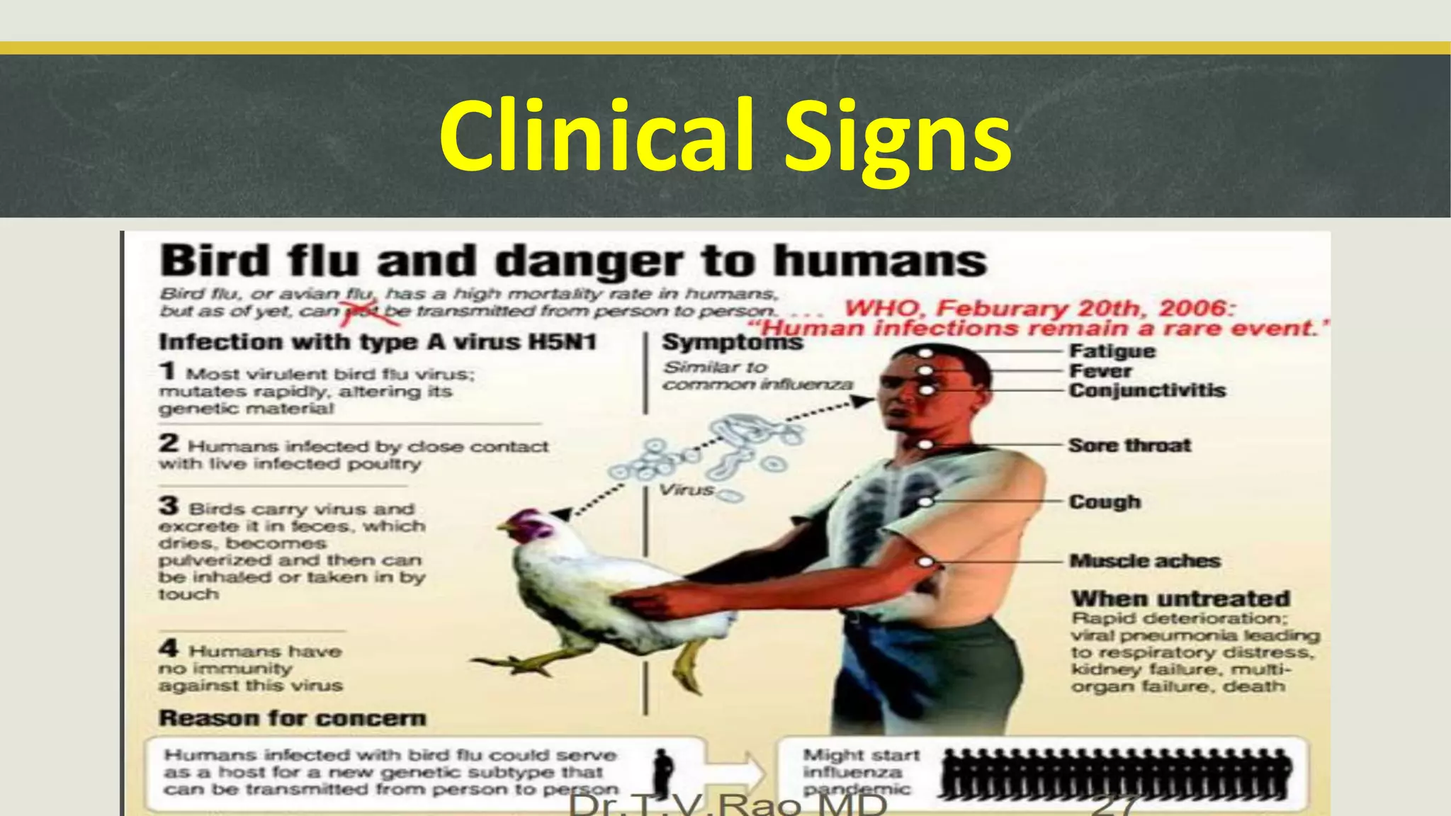 A presentation on Avian Influenza | PPTX