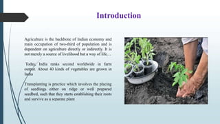 attachment.brief explanation about agriculture | PPTX