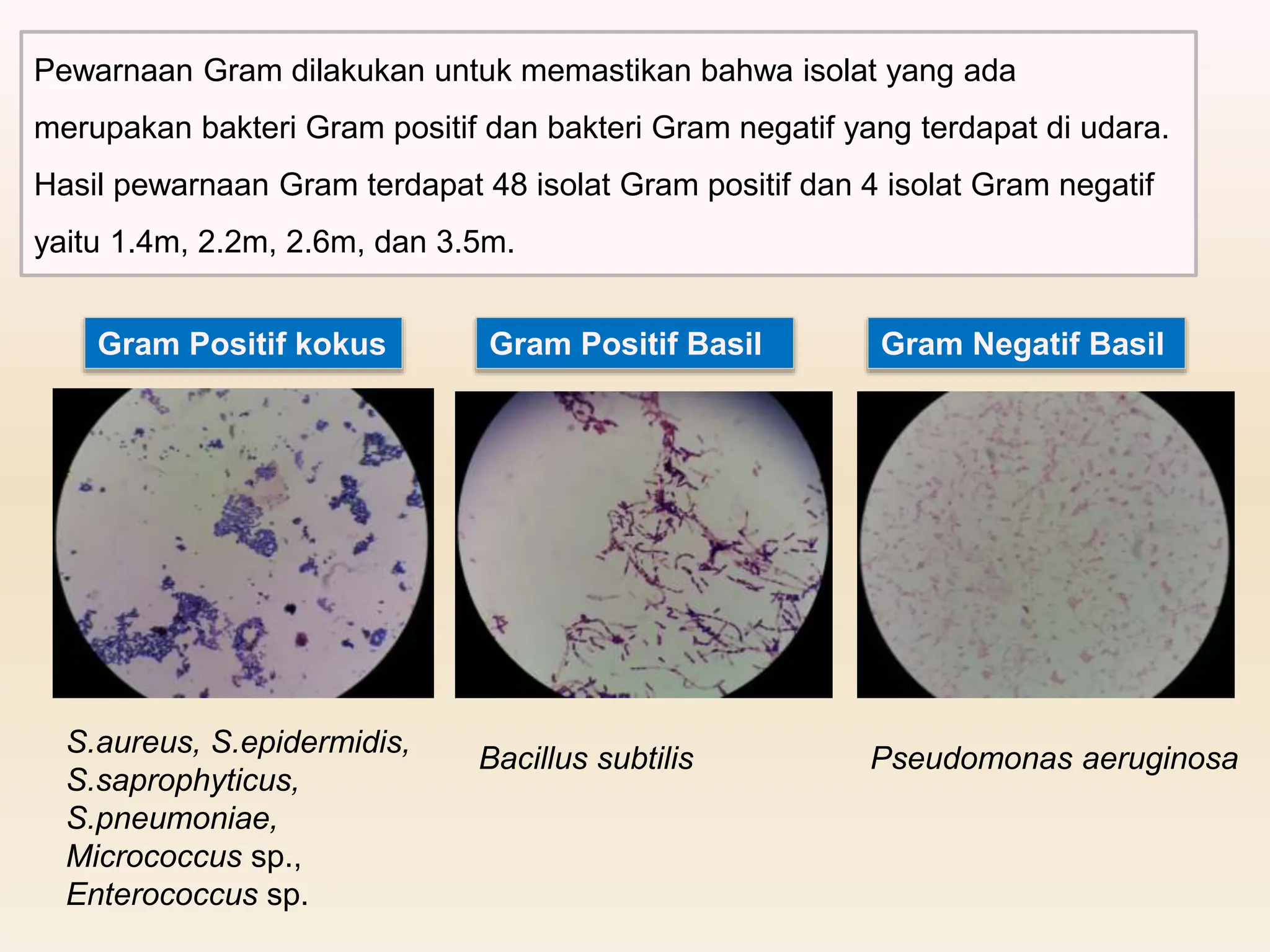 Identifikasi bakteri dalam ruangan .pptx