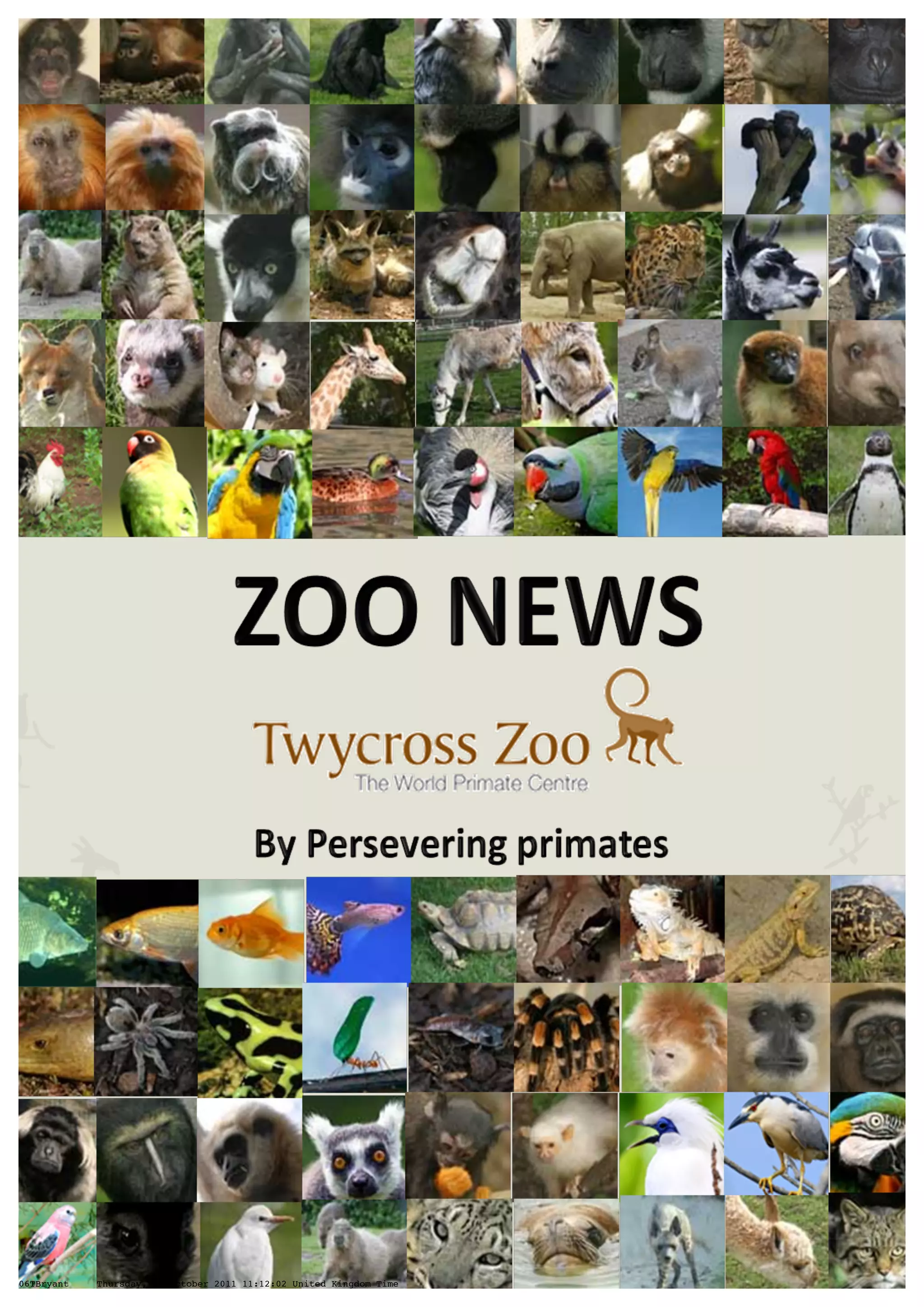 Twycross Zoo Newsletter - Team Perservering Primates | PDF