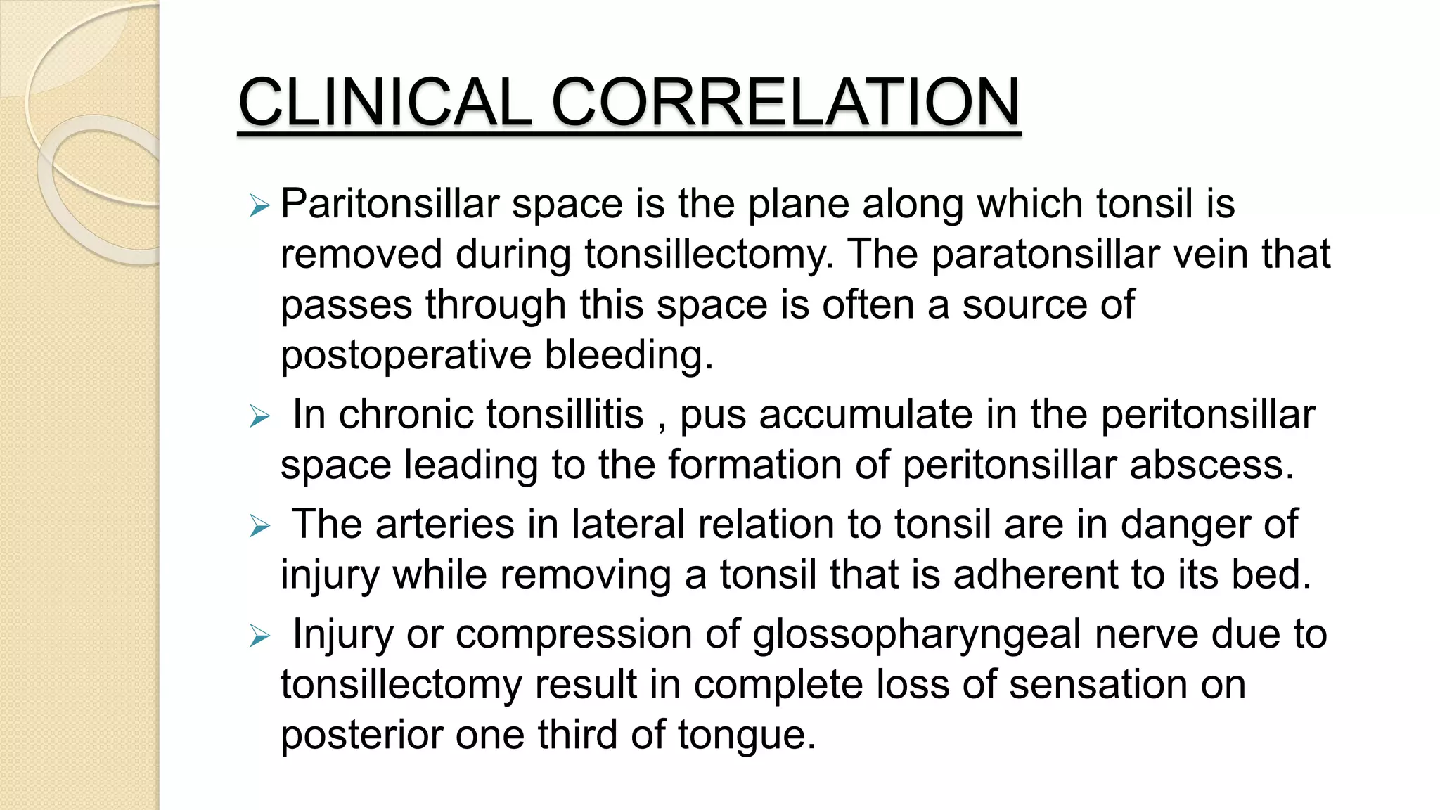 applied anatomy and diseases of tonsil | PPTX