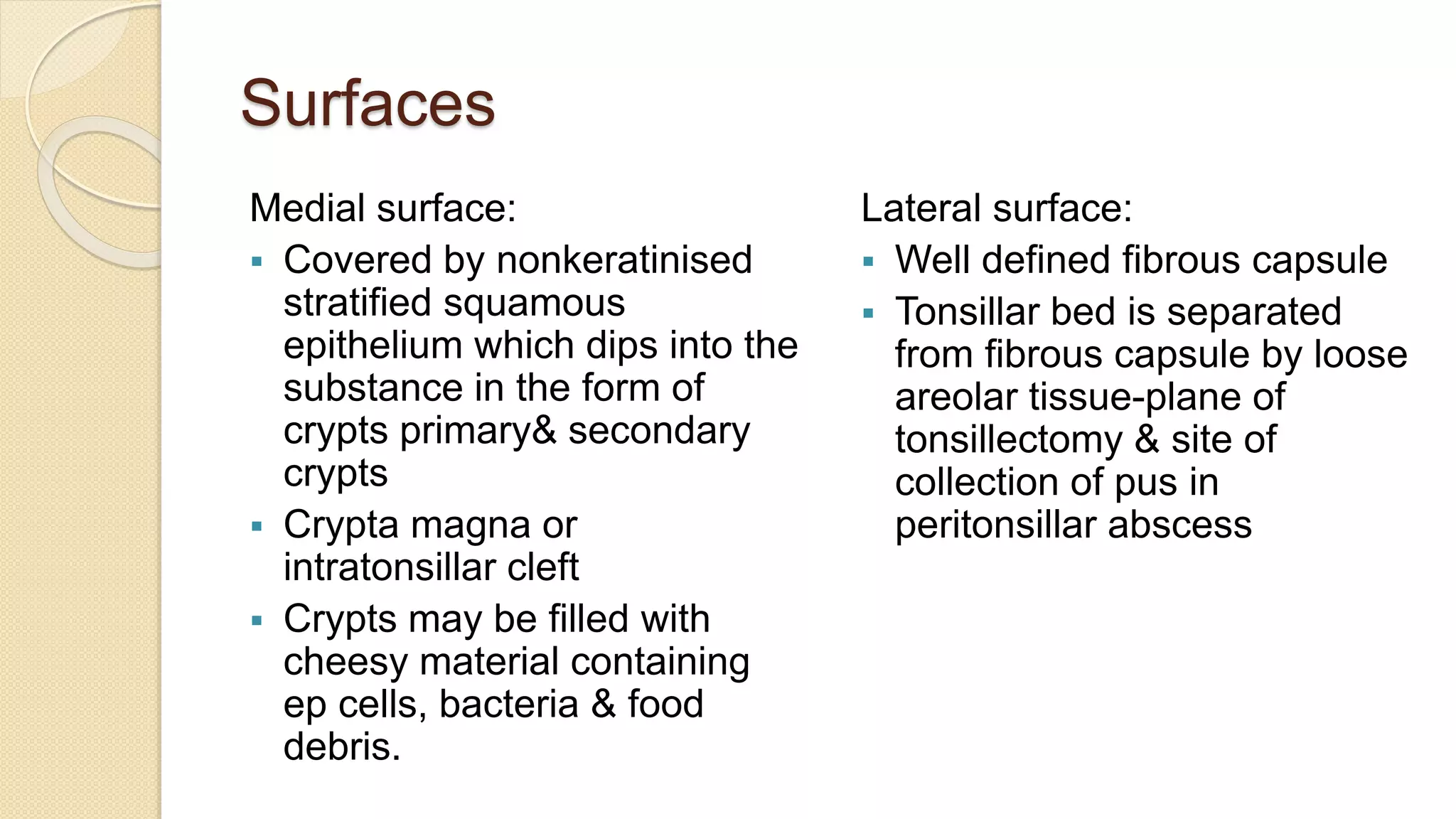 applied anatomy and diseases of tonsil | PPTX