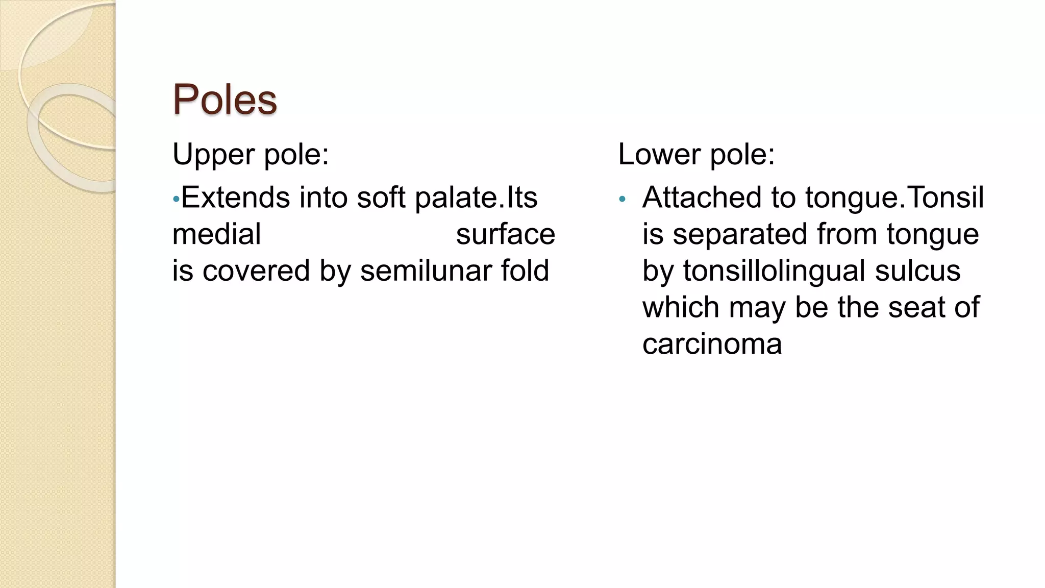 applied anatomy and diseases of tonsil | PPTX