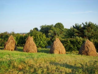 Attack Surface Analytics [ISSRE-DSW 15] | PPT