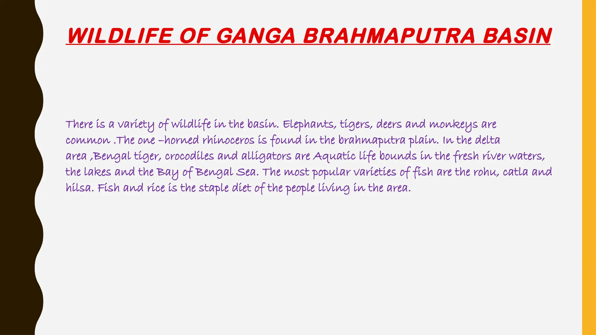 ATTARACTION ON AMAZON BASIN AND GANGA BRAHMAPUTRA BASIN.pptx