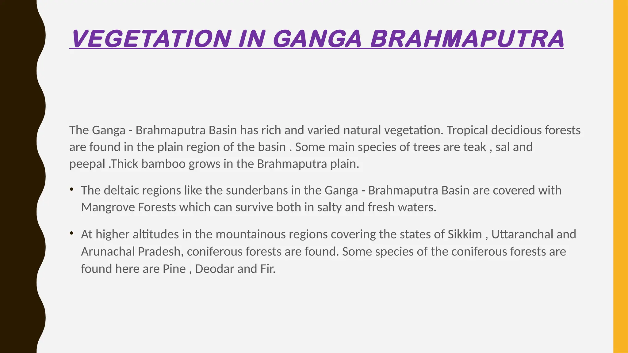 ATTARACTION ON AMAZON BASIN AND GANGA BRAHMAPUTRA BASIN.pptx