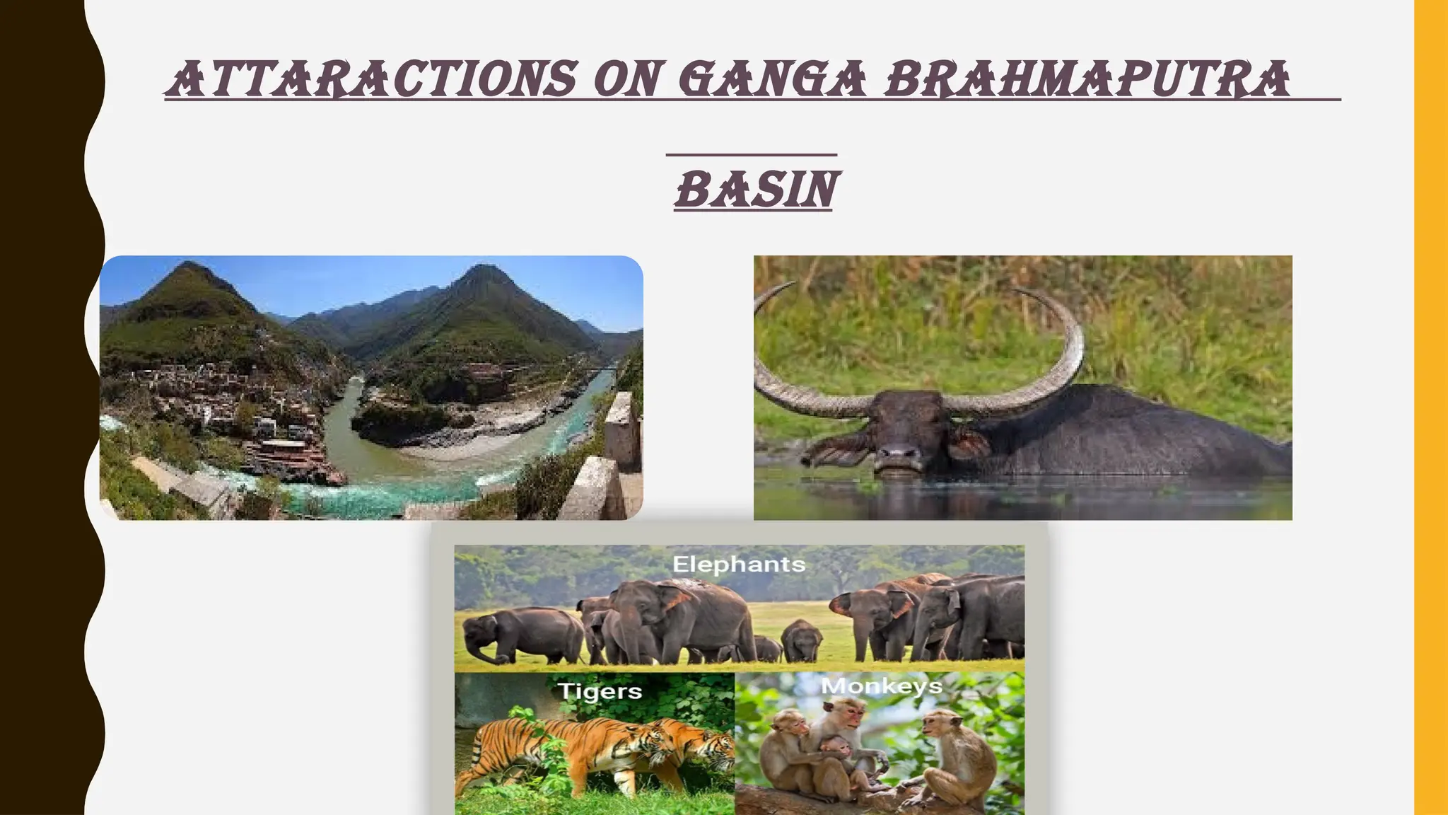 ATTARACTION ON AMAZON BASIN AND GANGA BRAHMAPUTRA BASIN.pptx