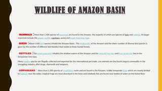 ATTARACTION ON AMAZON BASIN AND GANGA BRAHMAPUTRA BASIN.pptx