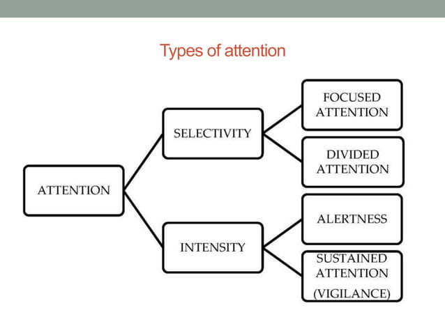 Attention | PPTX | Science