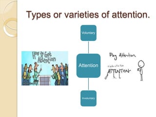 attention.pptx | Science