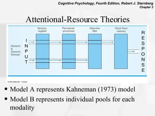 Attention and Consciousness | PPT