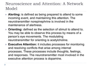 Attention and consciousness (trix) | PPTX | Brain and Nervous System ...