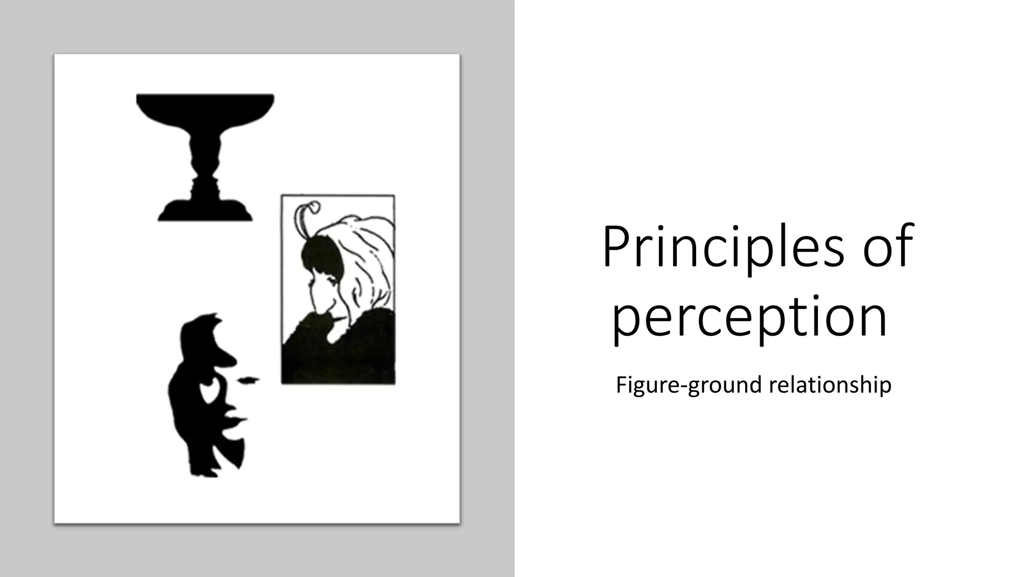 Attention and perception | PPTX