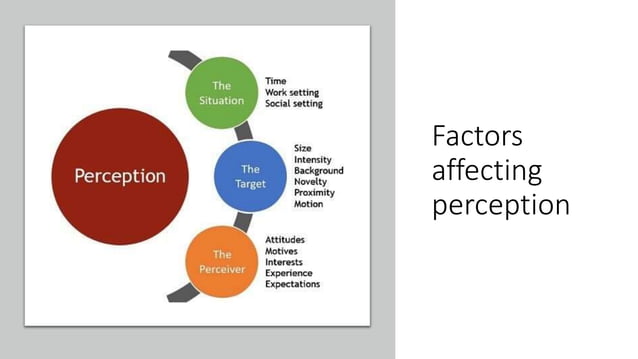 Attention and perception | PPT