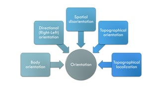 Neuropsychological Assessment of Attention | PDF | Brain and Nervous ...
