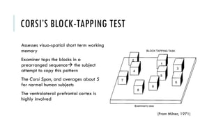 Neuropsychological Assessment of Attention | PDF | Brain and Nervous System Disorders | Diseases ...