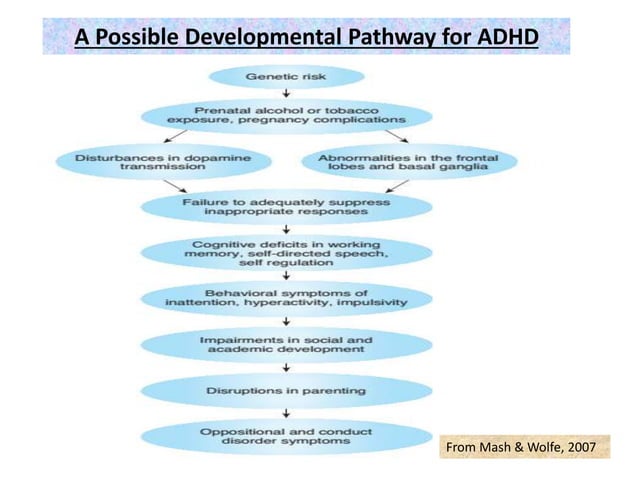 Attention deficit hyperactivity disorder (adhd) | PPTX