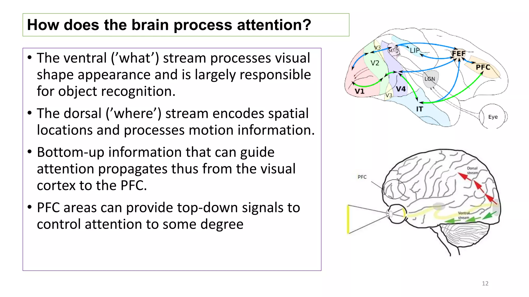 Attention mechanism in brain and deep neural network | PDF