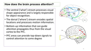 Attention mechanism in brain and deep neural network | PDF