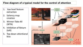 Attention mechanism in brain and deep neural network | PDF