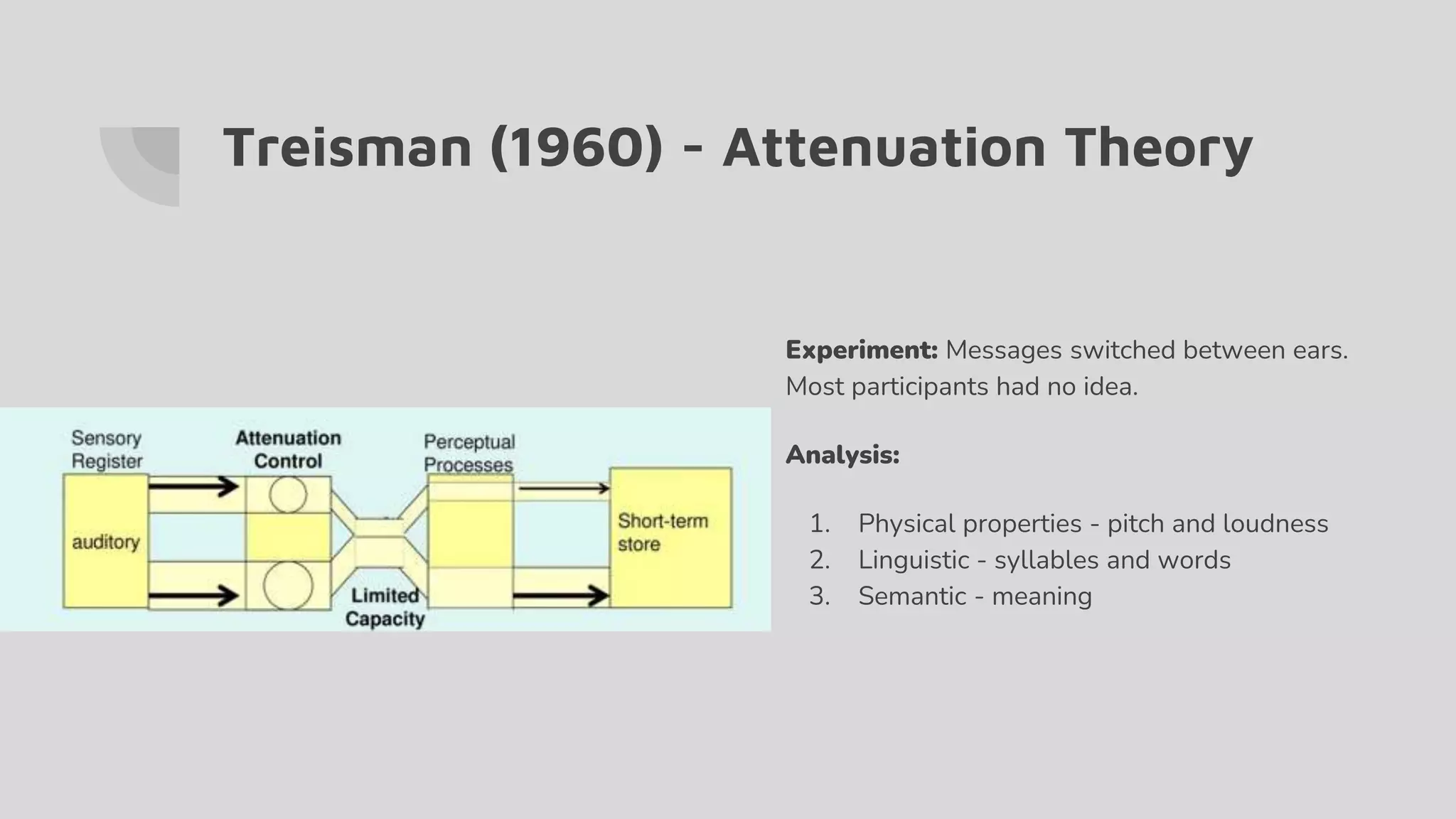 Attention & Perception - Cognitive Psychology.pptx