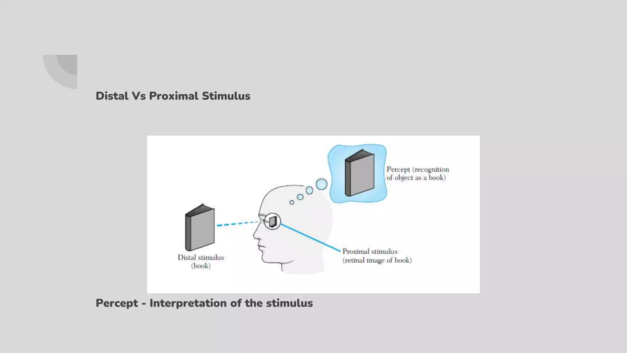 Attention & Perception - Cognitive Psychology.pptx
