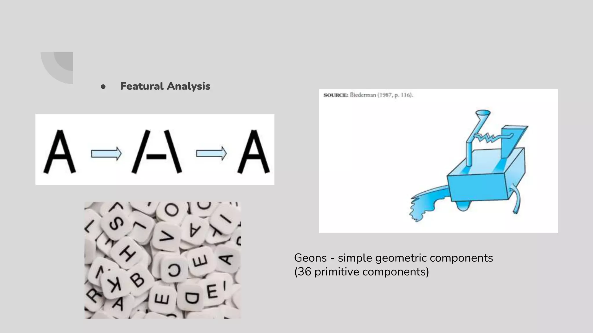 Attention & Perception - Cognitive Psychology.pptx