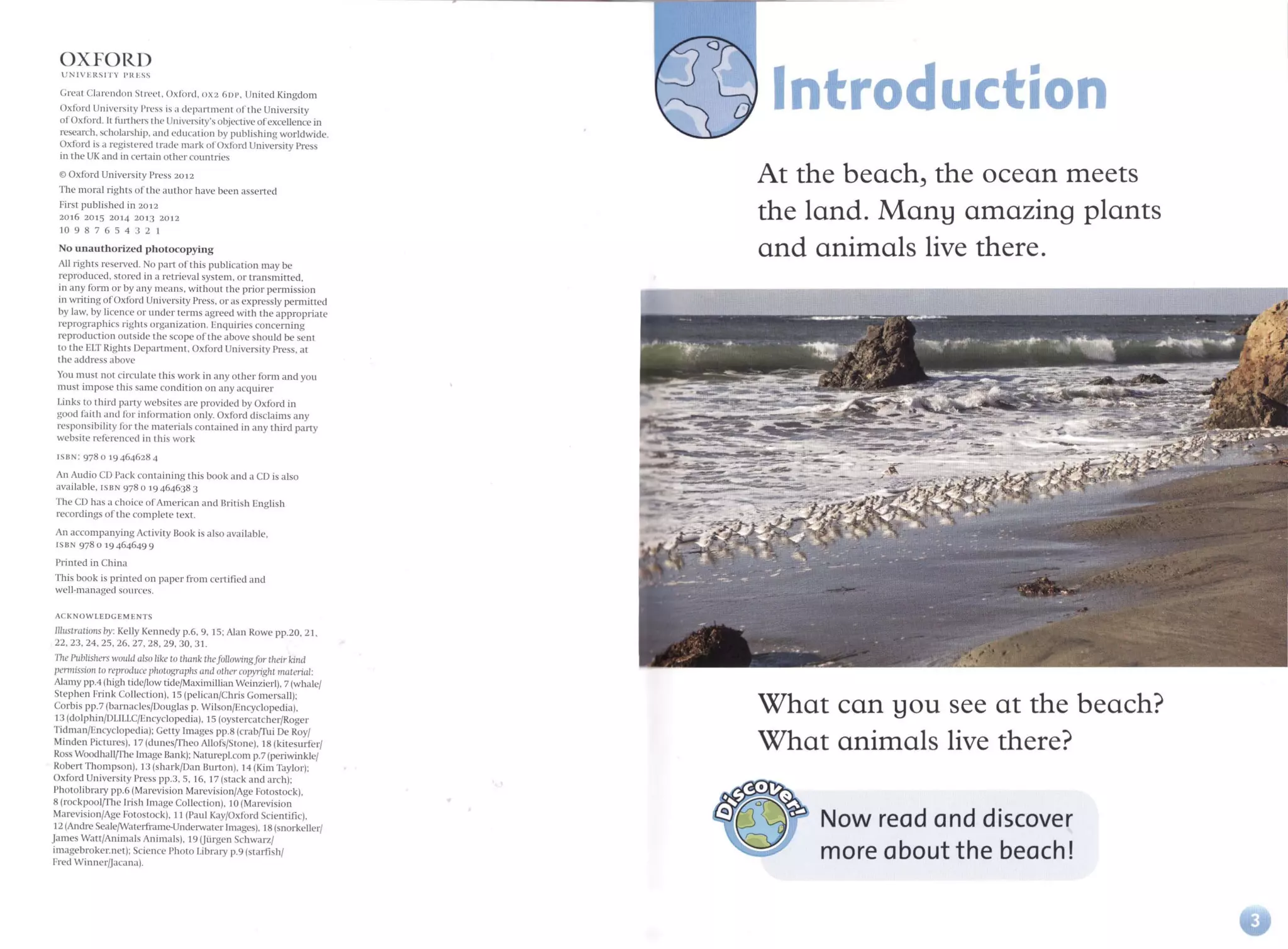 Oxford Read and Discover: At the beach | PDF