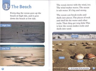 Oxford Read and Discover: At the beach | PDF