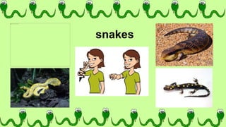 ASL At the zoo words | PPTX