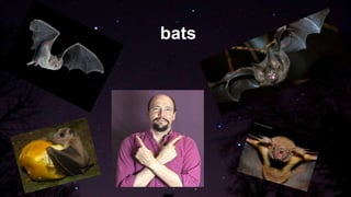 ASL At the zoo words | PPT