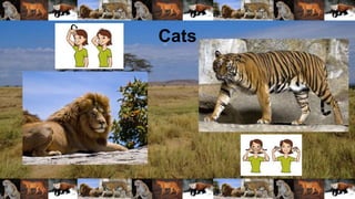 ASL At the zoo words | PPT