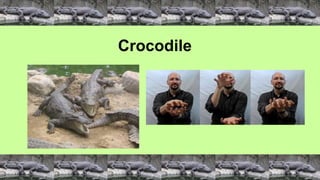 ASL At the zoo words | PPT