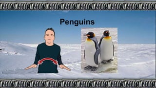 ASL At the zoo words | PPTX